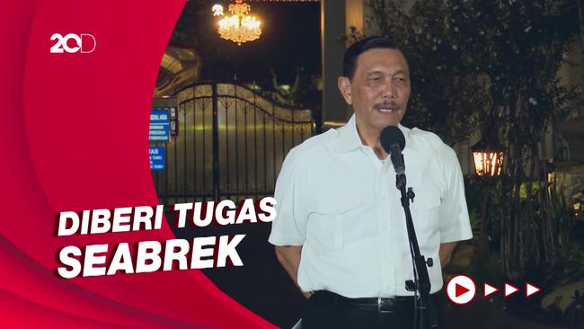 Ragam Reaksi Soal Luhut Dijuluki Sebagai Prime Minister Jokowi