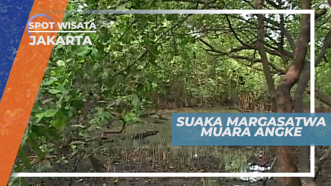 Muara Angke, Suaka Marga Satwa Terkecil di Utara Ibu Kota, Jakarta