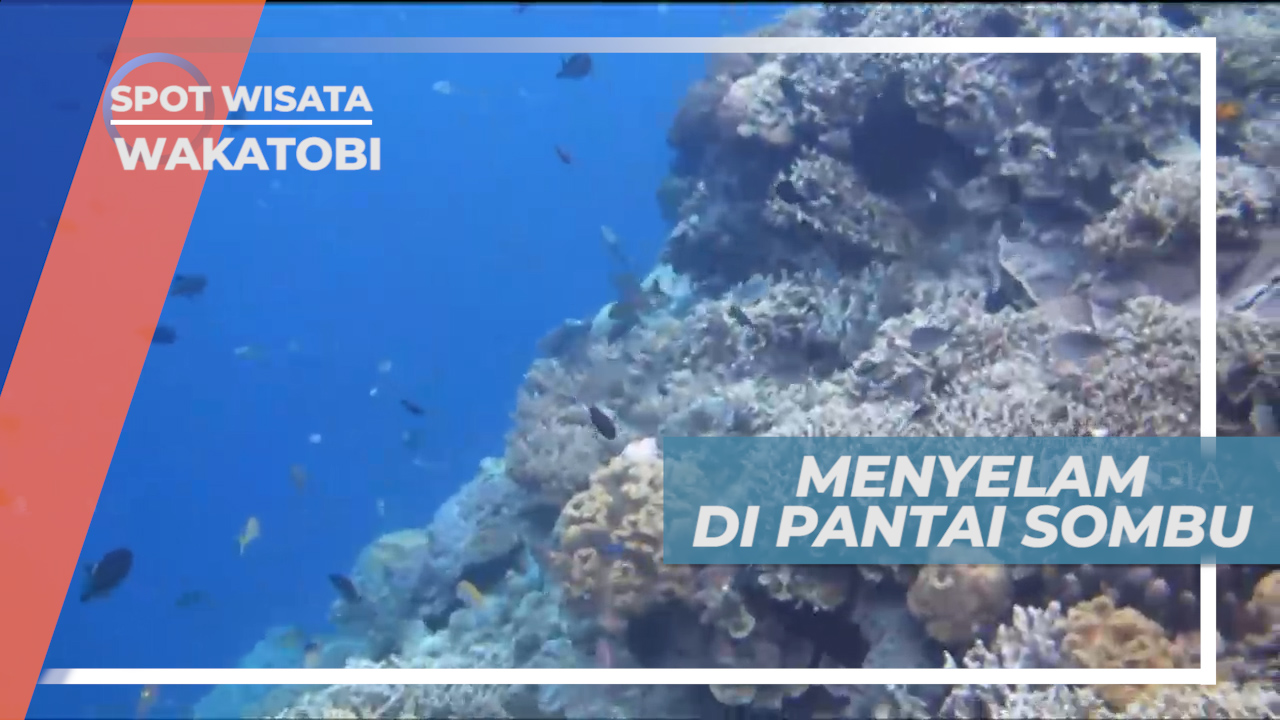 Pantai Sombu, Menikmati Indahnya Dasar Laut yang Memukau, Wakatobi