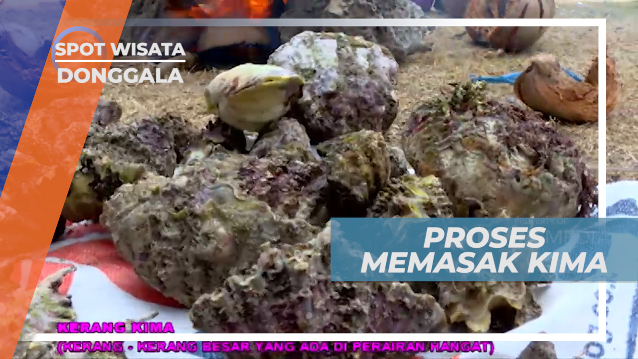 Memasak Kima, Kerang Besar yang Berada di Perairan Hangat, Donggala Memasak Kima, Kerang Besar yang Berada di Perairan Hangat, Donggala