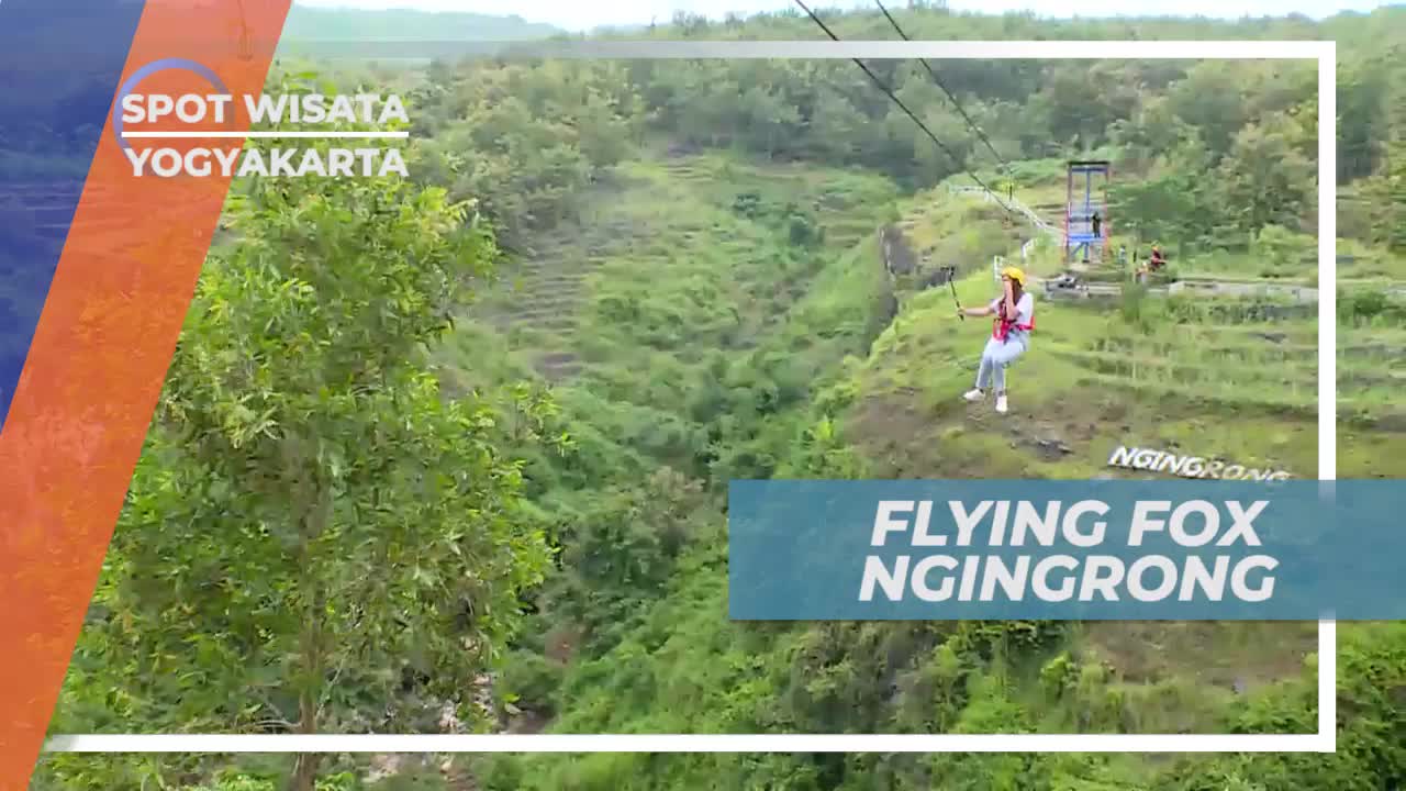 Memacu Adrenalin Bermain Flying Fox di Ngingrong Yogyakarta