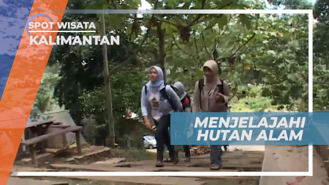 Hutan Alam Samarinda yang Kaya Vegetasi, Kalimantan Timur