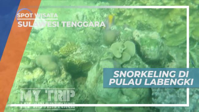 Snorkeling di Pulau Labengki, Keindahan Bawah Laut Sulawesi Tenggara