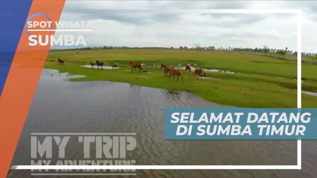 Berkunjung ke Sumba Timur, Pulau yang Terkenal Dengan Keindahan Alamnya