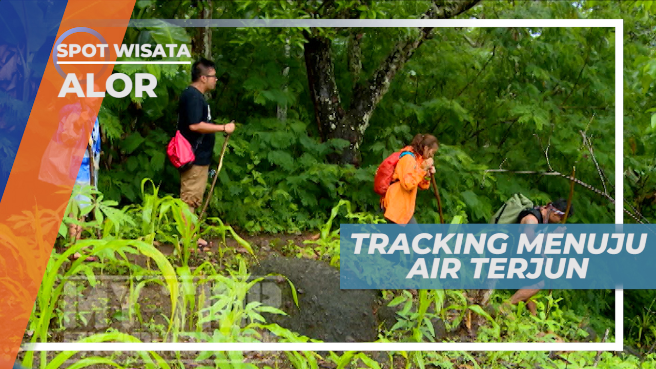 Perjalanan Panjang, Menantang dan Berkabut Menuju Air Terjun Mataru, Alor