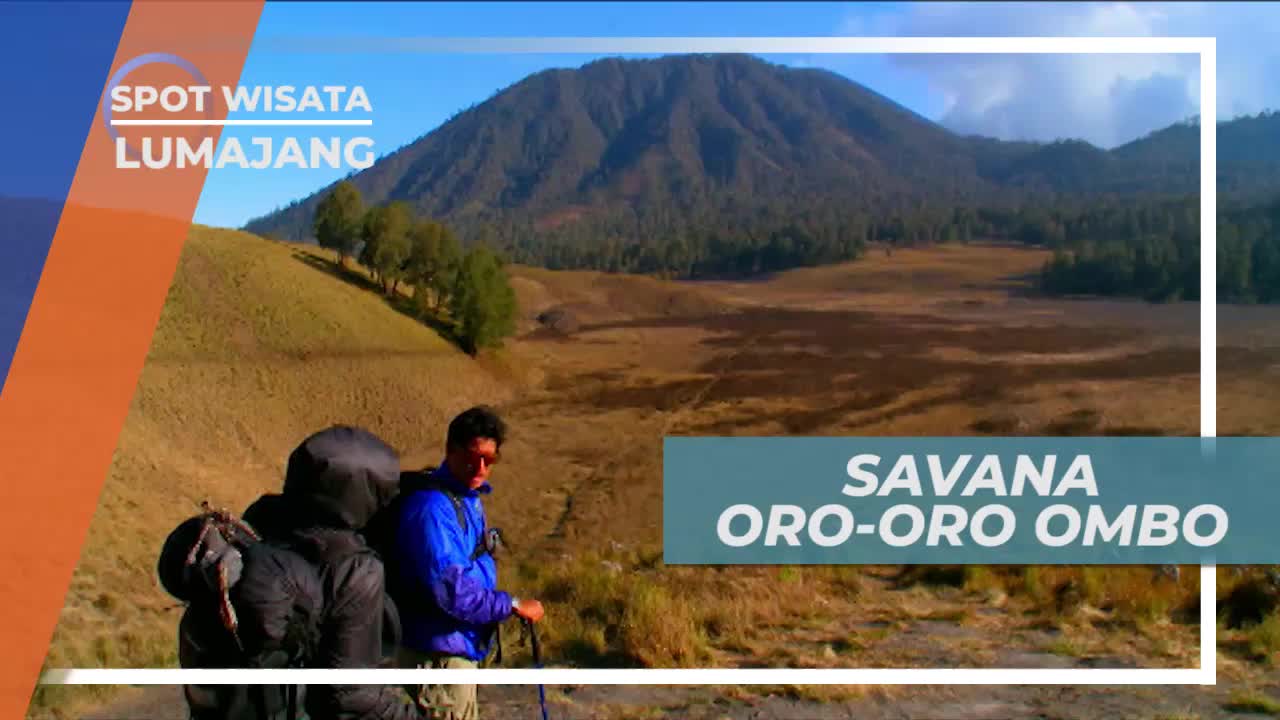 Pendakian Gunung Semeru, Sampai di Padang Savana Oro-oro Ombo, Lumajang
