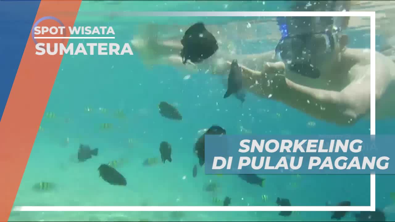 Snorkeling Menikmati Keindahan Bawah Laut Pulau Pagang Sumatera Barat