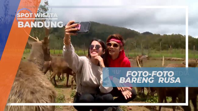Berfoto Lucu Bersama Rusa di Ranca Upas Bandung