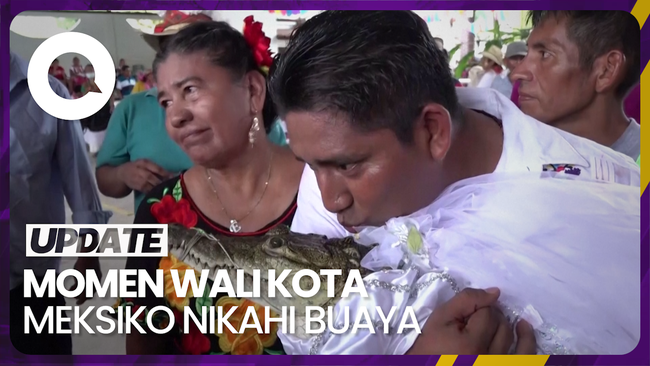 Ritual Kuno Di Meksiko Wali Kota Menikahi Buaya