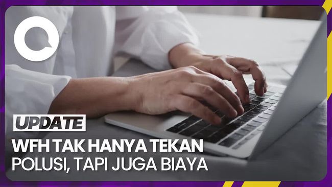Kata Pengamat soal WFH Tekan Polusi: Ada Hal Lain yang Ikut Tereduksi