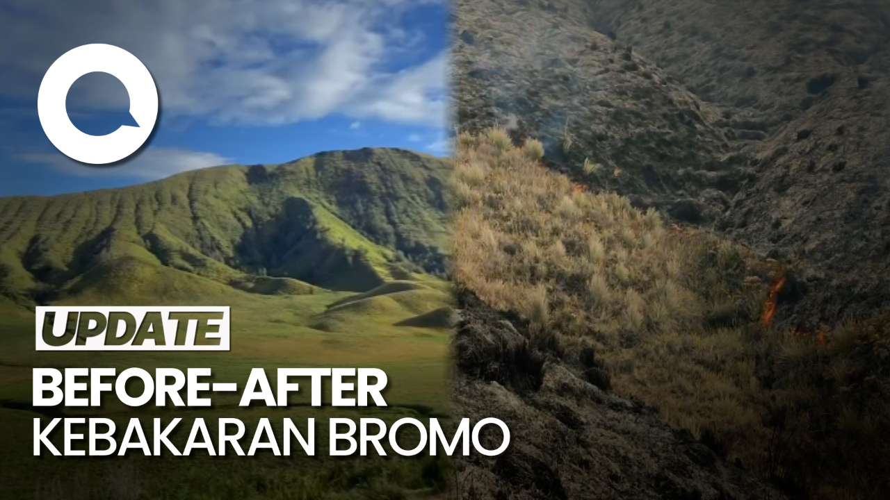 Melihat Perbedaan Kondisi Bromo Sebelum dan Sesudah Kebakaran Melihat Perbedaan Kondisi Bromo Sebelum dan Sesudah Kebakaran