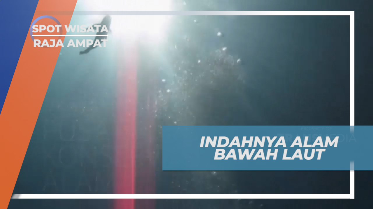 Menyelami Pesona Keindahan Surga Bawah Laut Raja Ampat, Papua Menyelami Pesona Keindahan Surga Bawah Laut Raja Ampat, Papua