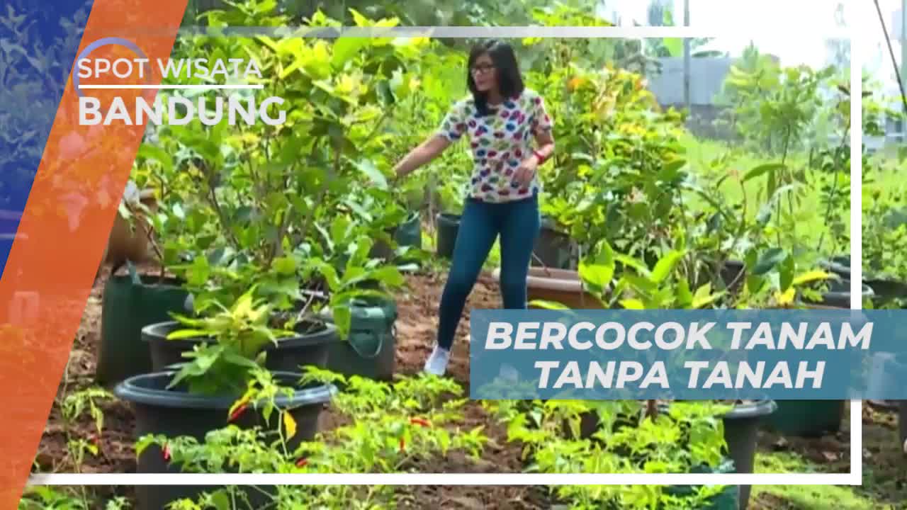 Bercocok Tanam Tanpa Tanah Dengan Teknik Hidroponik, Bandung