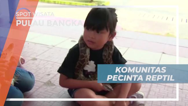 Berkenalan Dengan Komunitas Pecinta Reptil di Pulau Bangka