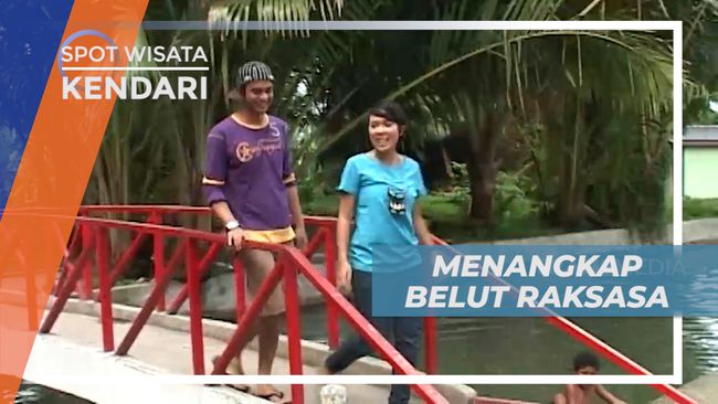 Licin nan Sulit, Mencoba Menangkap Belut Raksasa di Desa Wai Ambon Licin nan Sulit, Mencoba Menangkap Belut Raksasa di Desa Wai Ambon