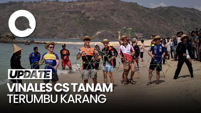 Jelang MotoGP Mandalika, Vinales cs Tanam Terumbu Karang di Pantai Kuta