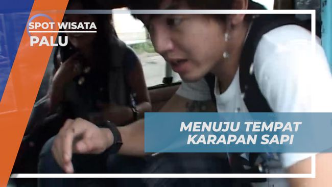 Serunya Naik Angkot Menuju Tempat Karapa Sapi Khas Kota Palu