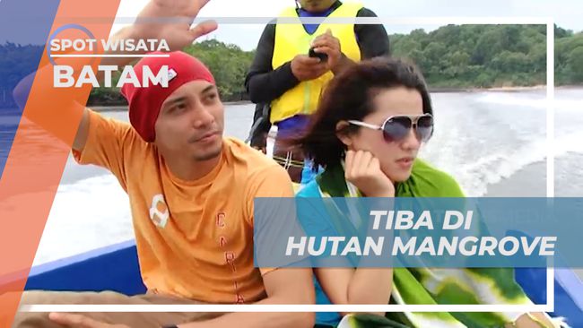 Menikmati Pesona Keindahan Panorama Hutan Mangrove, Batam