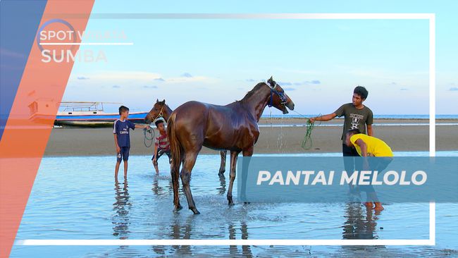 Melanjutkan Petualangan Seru Mengeksplore Keindahan Pantai Melolo, Sumba