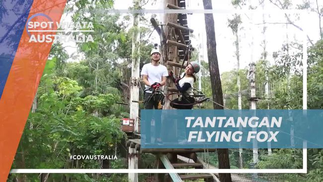Menaklukkan Tantangan Flying Fox di Treetop Challenge Adventure Park Australia