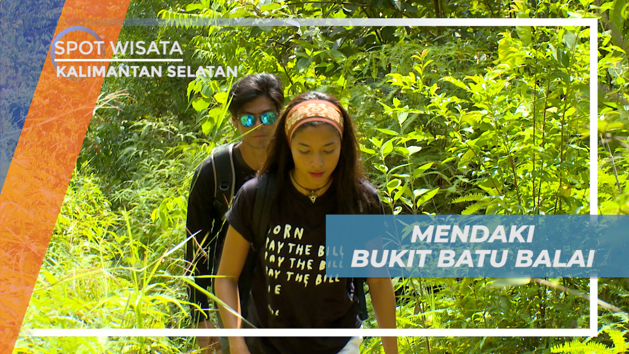 Menjelajahi Belantara Hutan Kandangan Menuju Bukit Batu Balai ...
