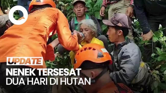 2 Hari Tersesat di Hutan, Nenek 91 Tahun di Lampung Ditemukan Selamat
