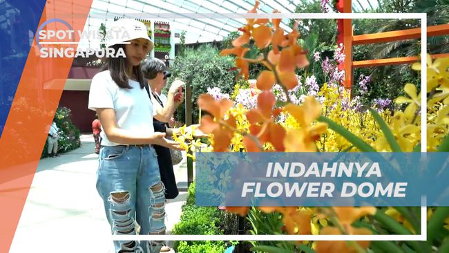 Liburan seru Mengunjungi Aneka Ragam Jenis Bunga di Flower Dome, Singapura