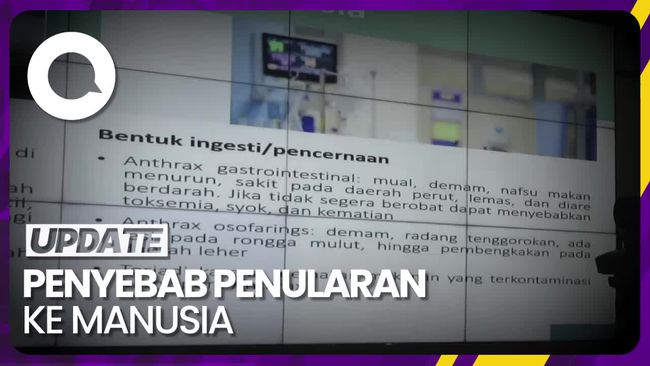 Cegah Penyebaran Antraks, Pemda DIY Larang Tradisi Porak dan Brandu