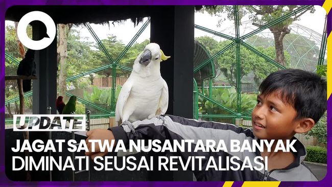 Seusai Direvitalisasi, Jagat Satwa Nusantara Banyak Diminati Pengunjung Seusai Direvitalisasi, Jagat Satwa Nusantara Banyak Diminati Pengunjung