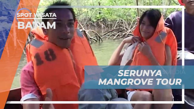 Menikmati Keseruan Menyusuri Keindahan Hutan Mangrove, Batam