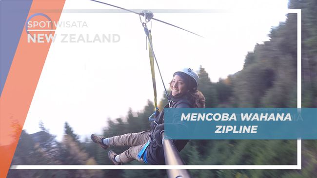 Sensasi Meluncur Seru Naik Wahana Zipline di Antara Pepohonan Pinus ...