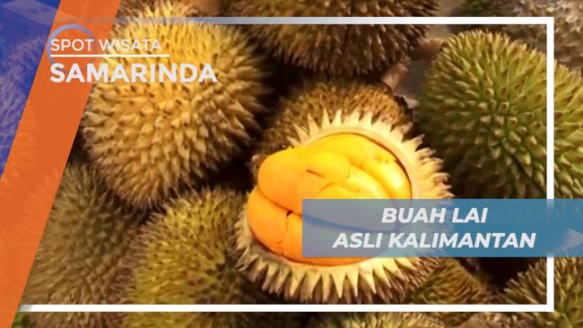 Menyantap Manisnya Buah Lai, Buah Mirip Durian Asli Kalimantan, Samarinda