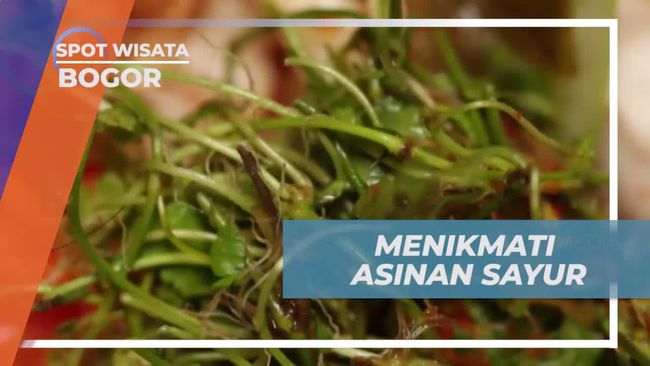 Menikmati Kesegaran Asinan Sayur di Kota Bogor