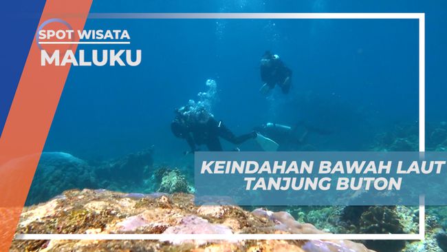 Diving Seru Menikmati Keindahan Bawah Laut Tanjung Buton Banda Neira