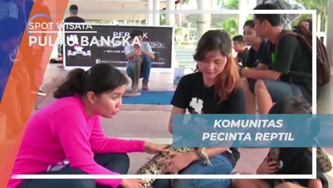 Berkenalan Dengan Komunitas Pecinta Reptil di Pulau Bangka