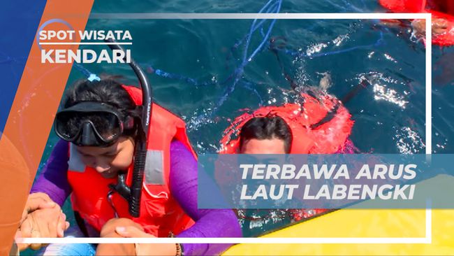 Sensasi Menegangkan, Snorkeling Terbawa Arus Laut Pulau Labengki, Kendari