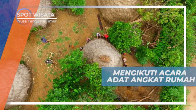 Keseruan Mengikuti Acara Adat Angkat Rumah Khas Desa Mutis, NTT