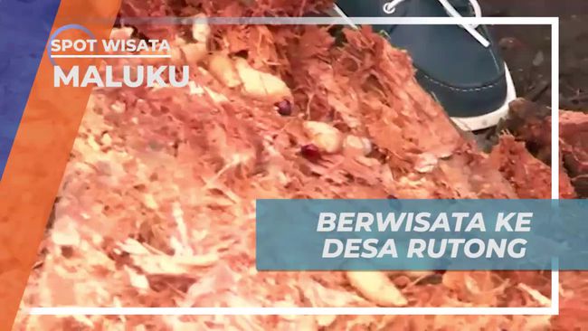 Berwisata ke Desa Rutong yang Terkenal Dengan Ulat Sagunya, Maluku