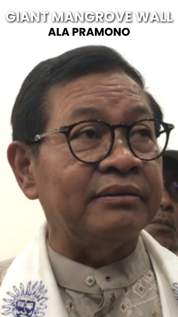 Video: Pramono Mau Buat 'Giant Mangrove Wall' untuk Cegah Banjir Rob