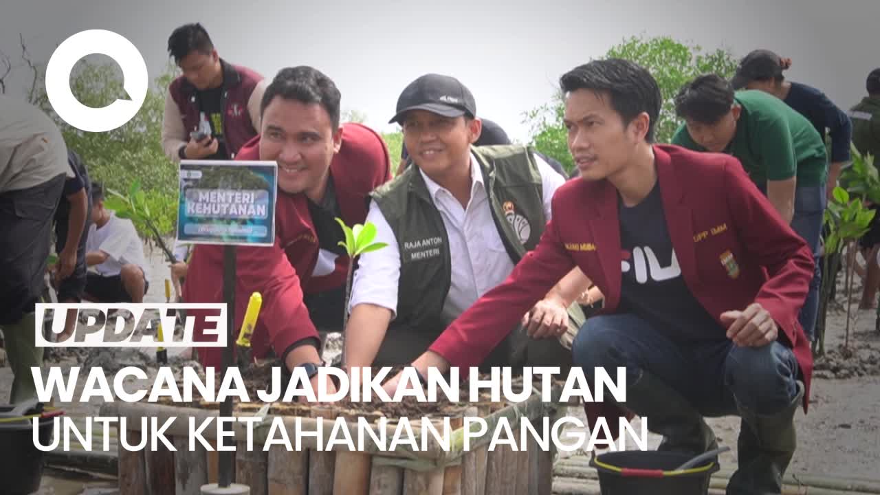 Video: Klarifikasi Menhut soal Isu Jadikan 20 Juta Hektare Hutan untuk Pangan