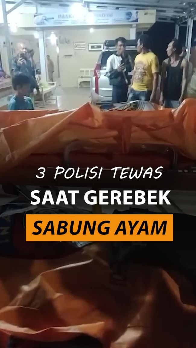 Video: 3 Polisi di Lampung Tewas Ditembak saat Gerebek Sabung Ayam