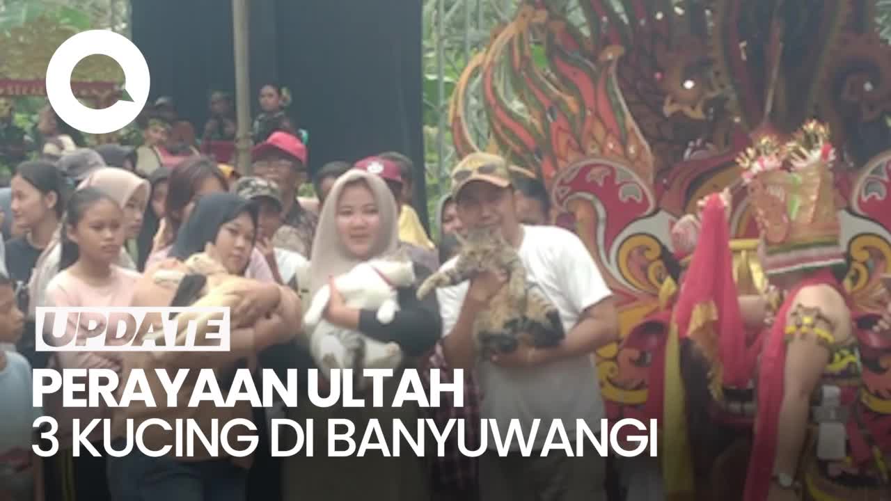 Video Mewahnya Ultah 3 Kucing di Banyuwangi: Diarak Becak Hias-Undang 12 Biduan